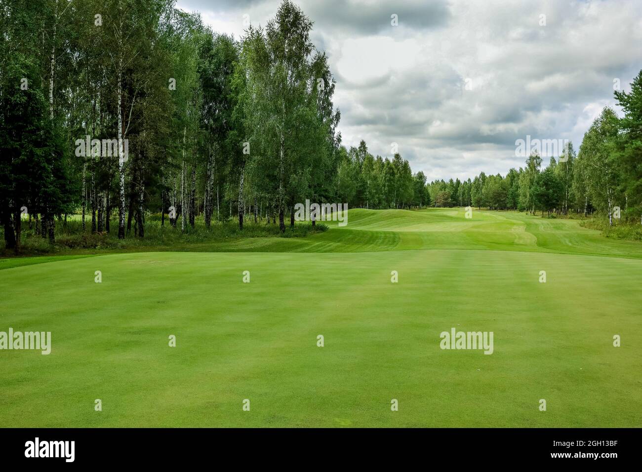 Golf course, landscape, green grass on the background of the forest and ...
