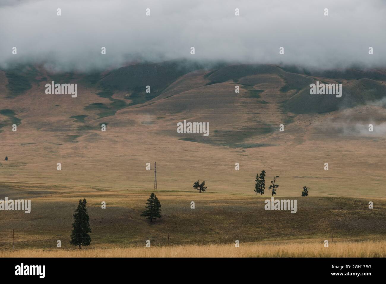View of the Kurai steppes in the Altai Mountains Stock Photo - Alamy