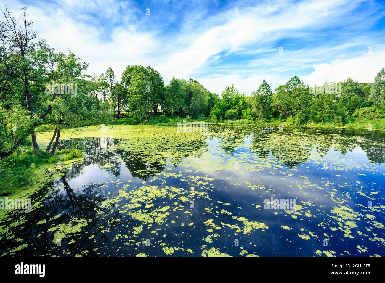 Russian swamp hi-res stock photography and images - Alamy
