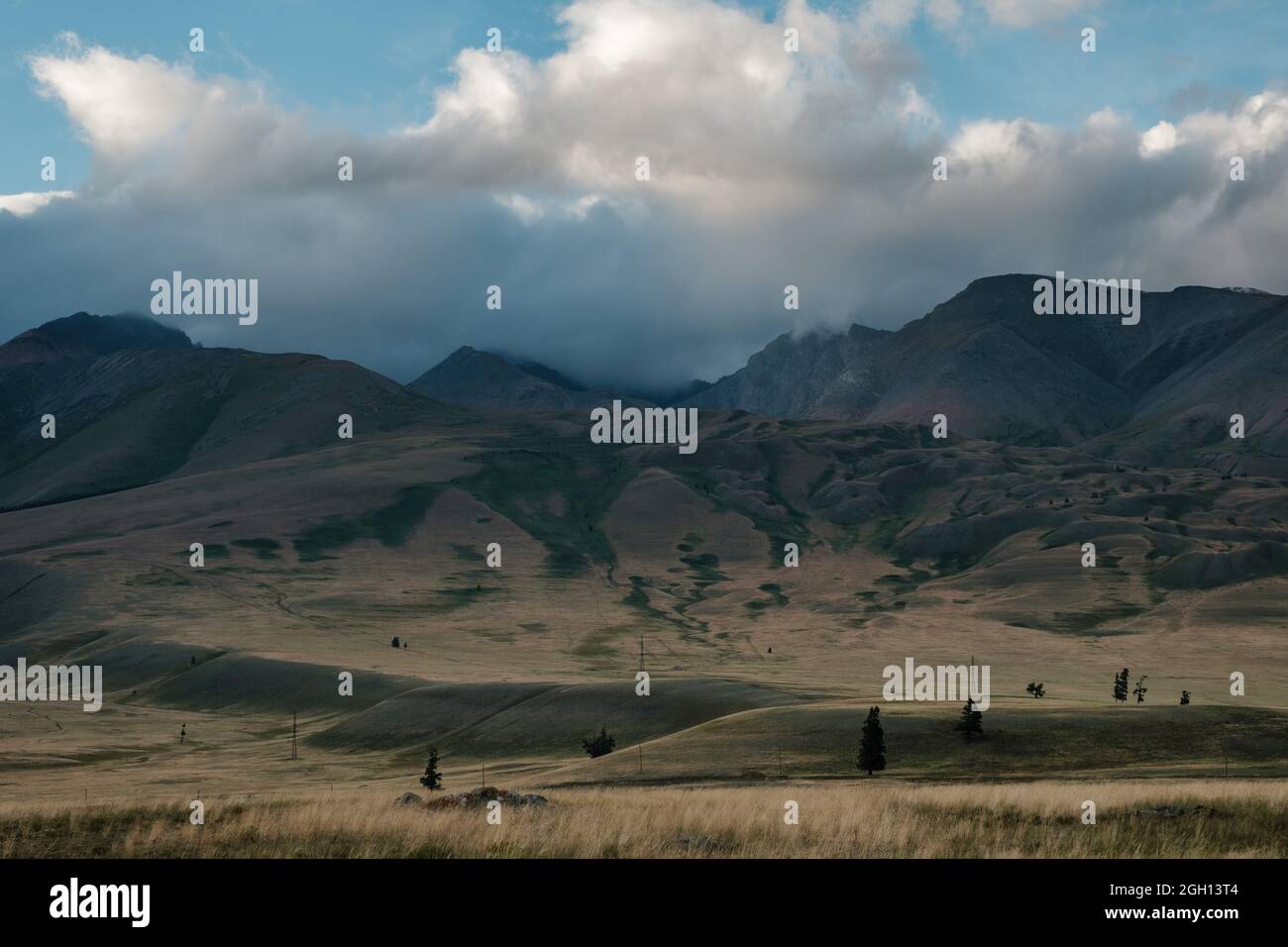 View of the Kurai steppes in the Altai Mountains Stock Photo - Alamy