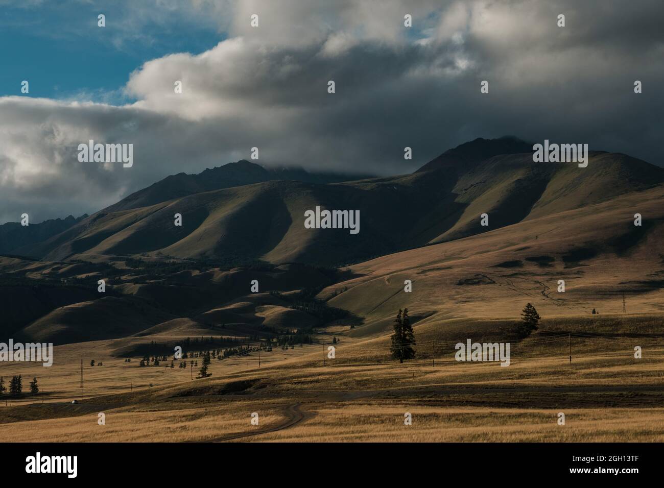 View of the Kurai steppes in the Altai Mountains Stock Photo - Alamy