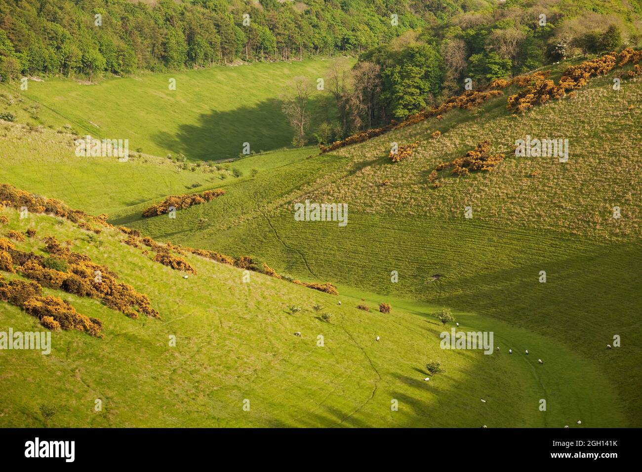 The valley of Well Dale in the Yorkshire Wolds, UK Stock Photo - Alamy