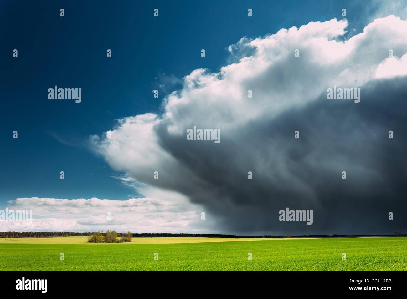 Wheat field under storm clouds hi-res stock photography and images - Alamy
