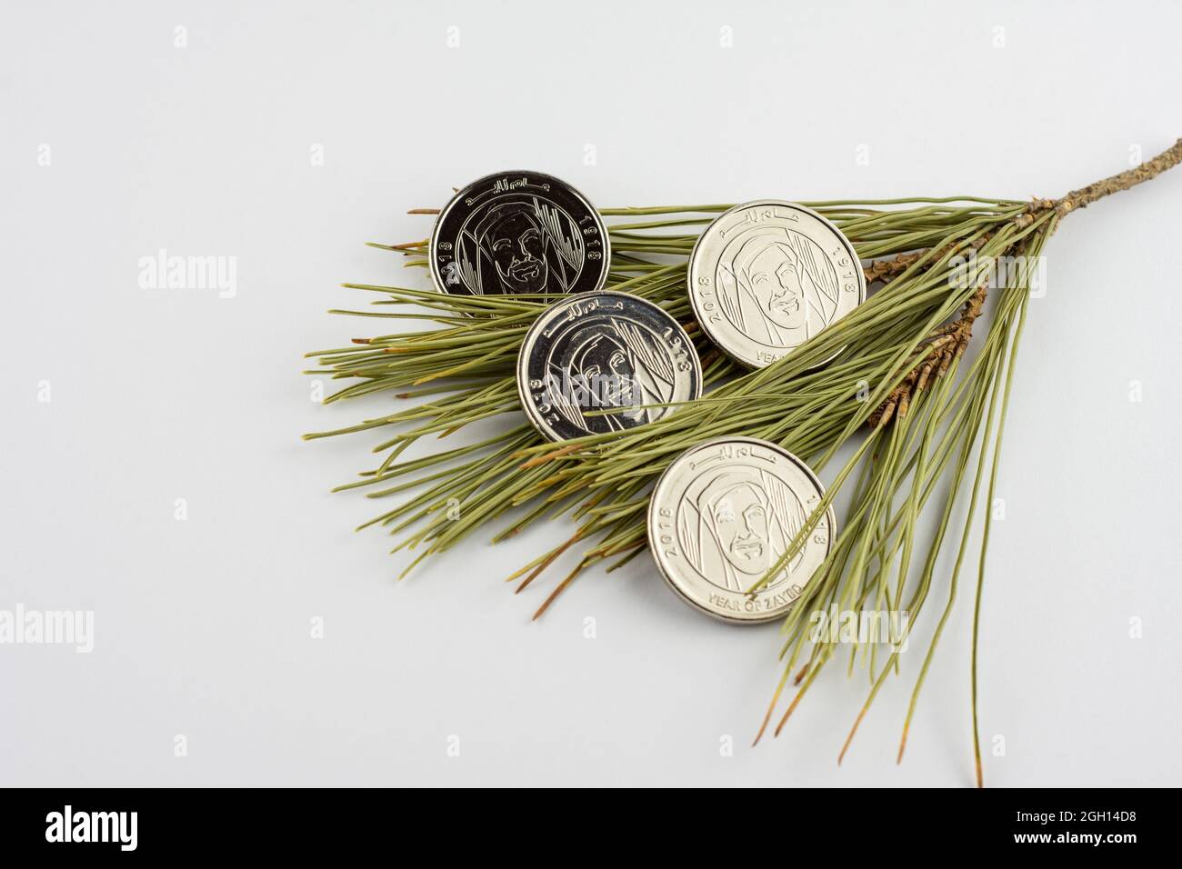UAE 1 Dirham Coins on pine needles isolated on white background, year ...