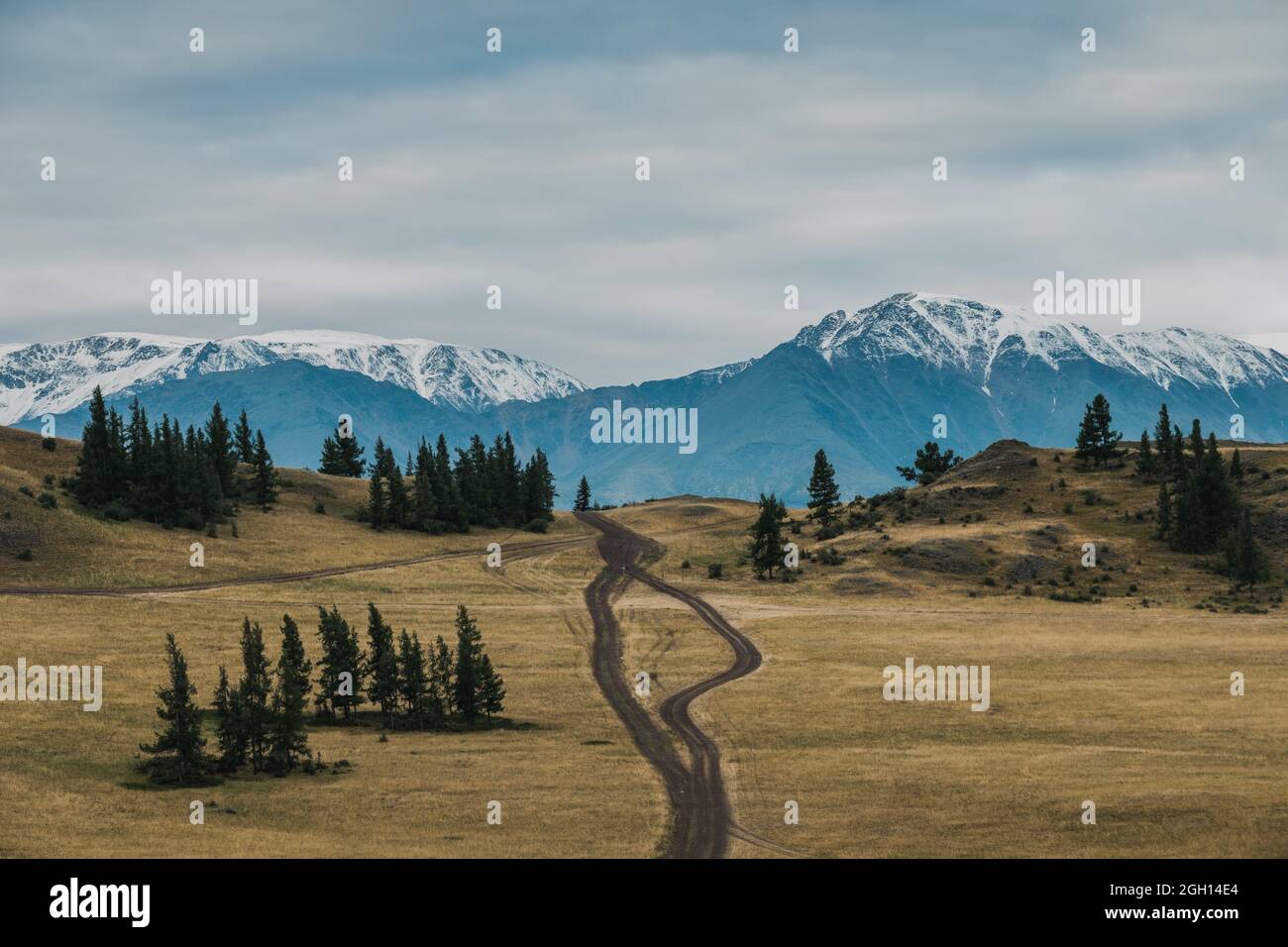 View of the Kurai steppes in the Altai Mountains Stock Photo - Alamy