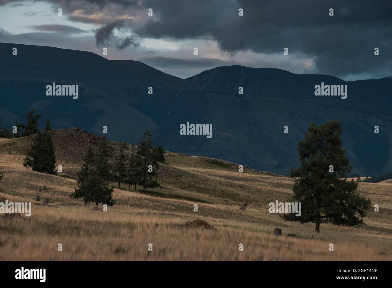 View of the Kurai steppes in the Altai Mountains Stock Photo - Alamy