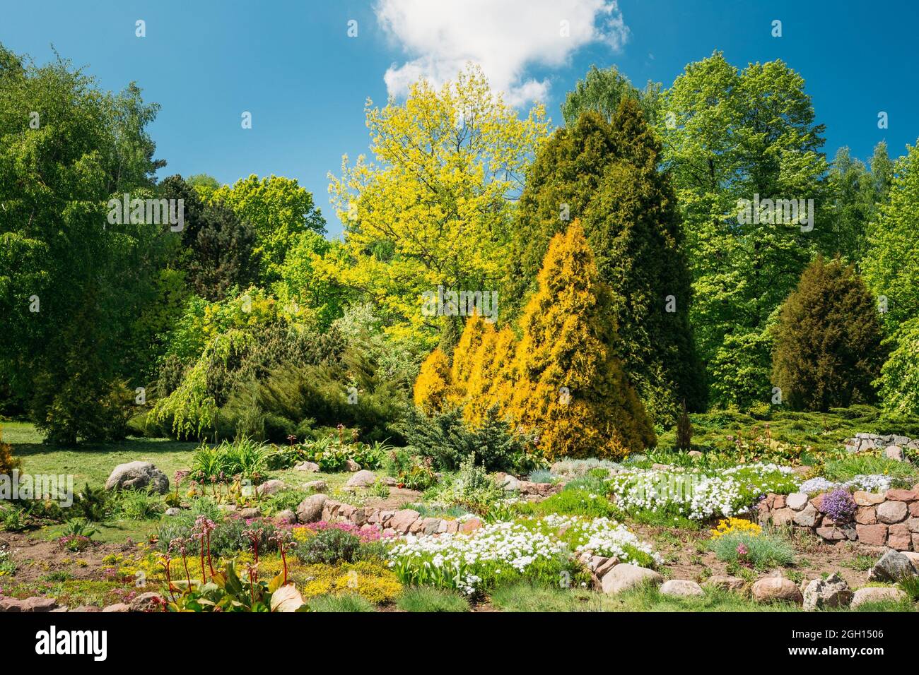 Garden design bushes hi-res stock photography and images - Alamy