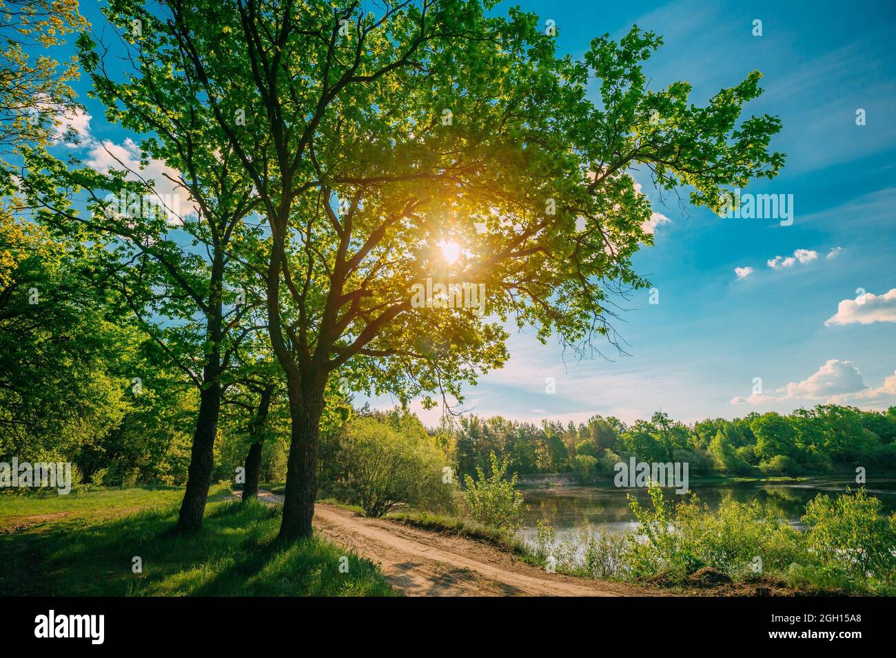 Sun park walkway hi-res stock photography and images - Alamy