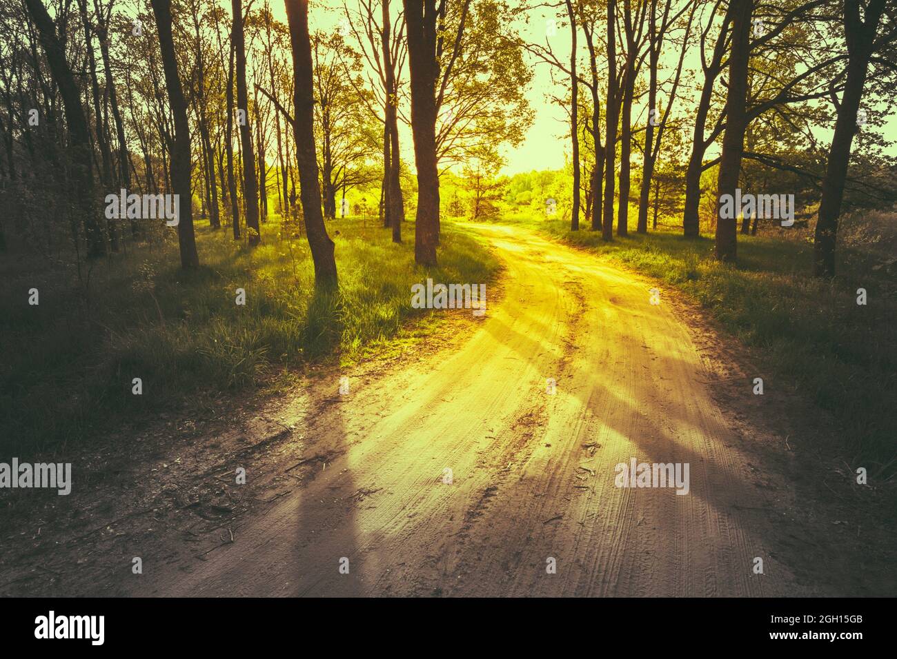 Rural lane in shadow hi-res stock photography and images - Alamy