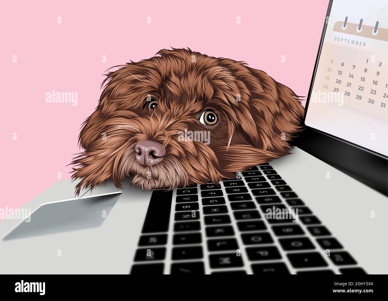 Teleworking illustration hi-res stock photography and images - Alamy