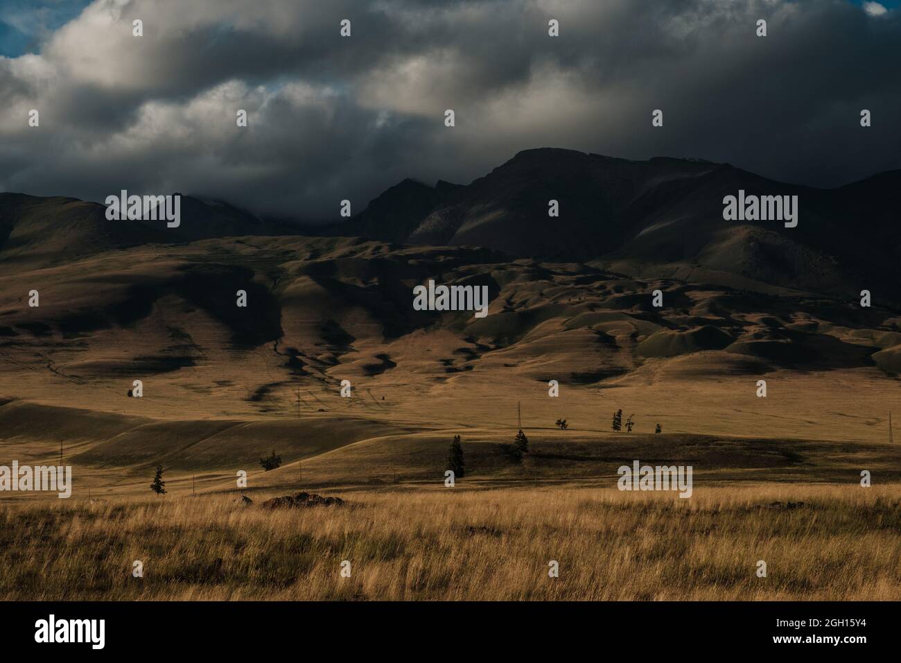View of the Kurai steppes in the Altai Mountains Stock Photo - Alamy