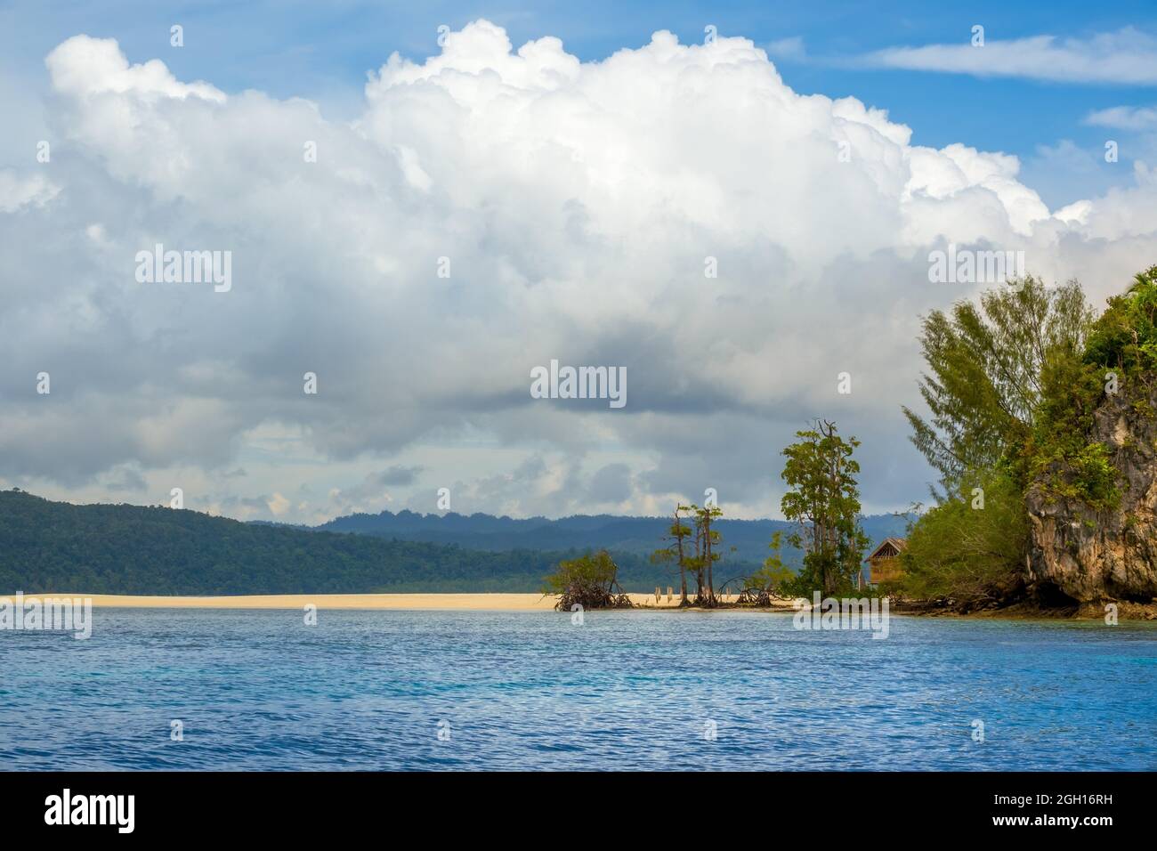 Hiding behind palm tree hi-res stock photography and images - Alamy