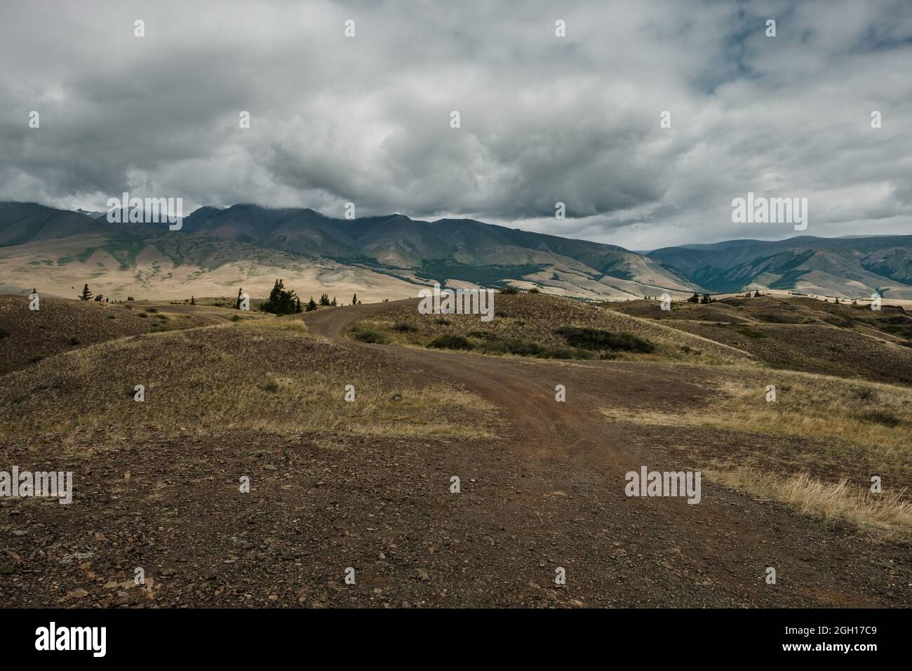 View of the Kurai steppes in the Altai Mountains Stock Photo - Alamy