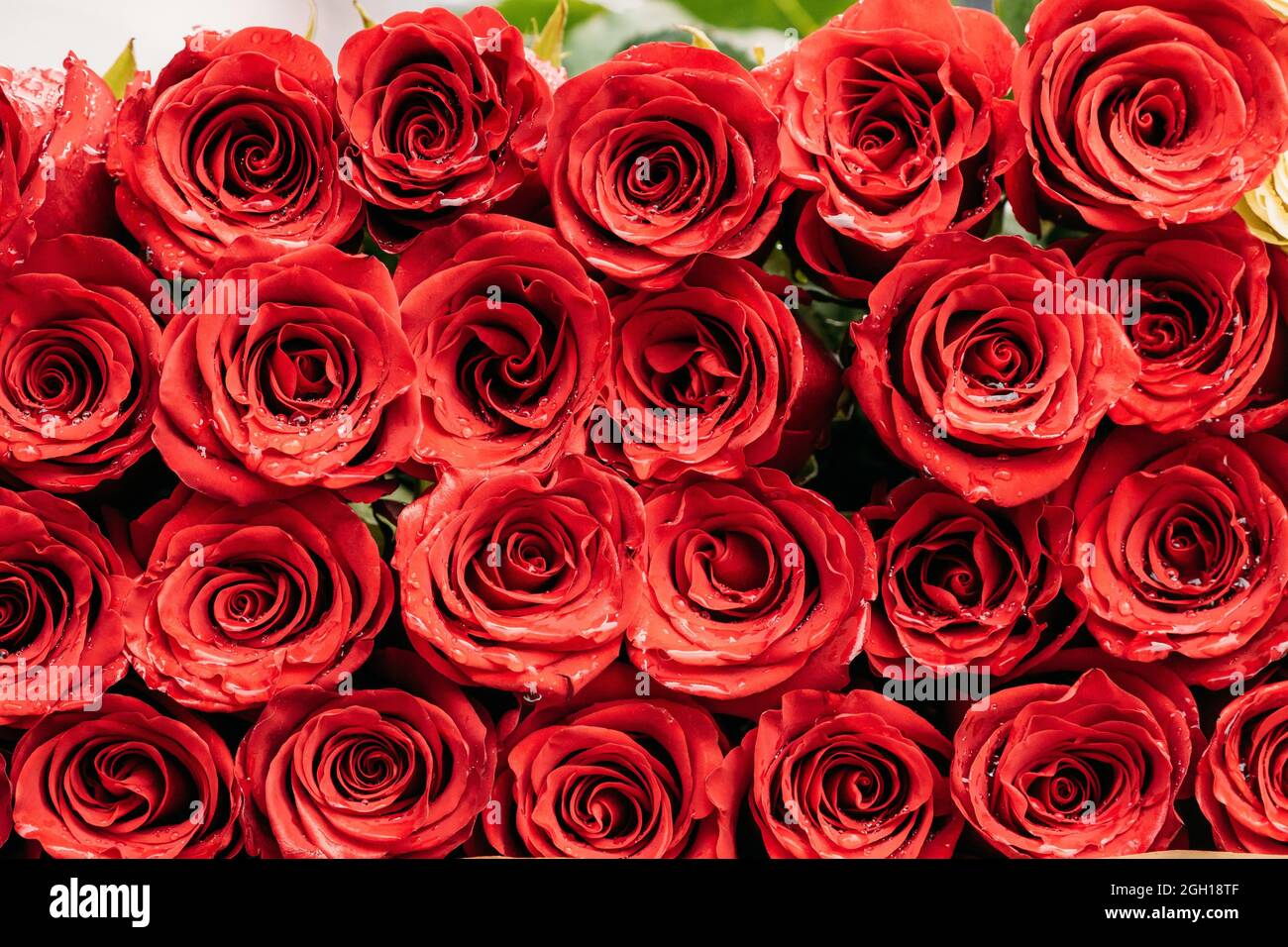 Beautiful bouquet red roses water hi-res stock photography and images ...