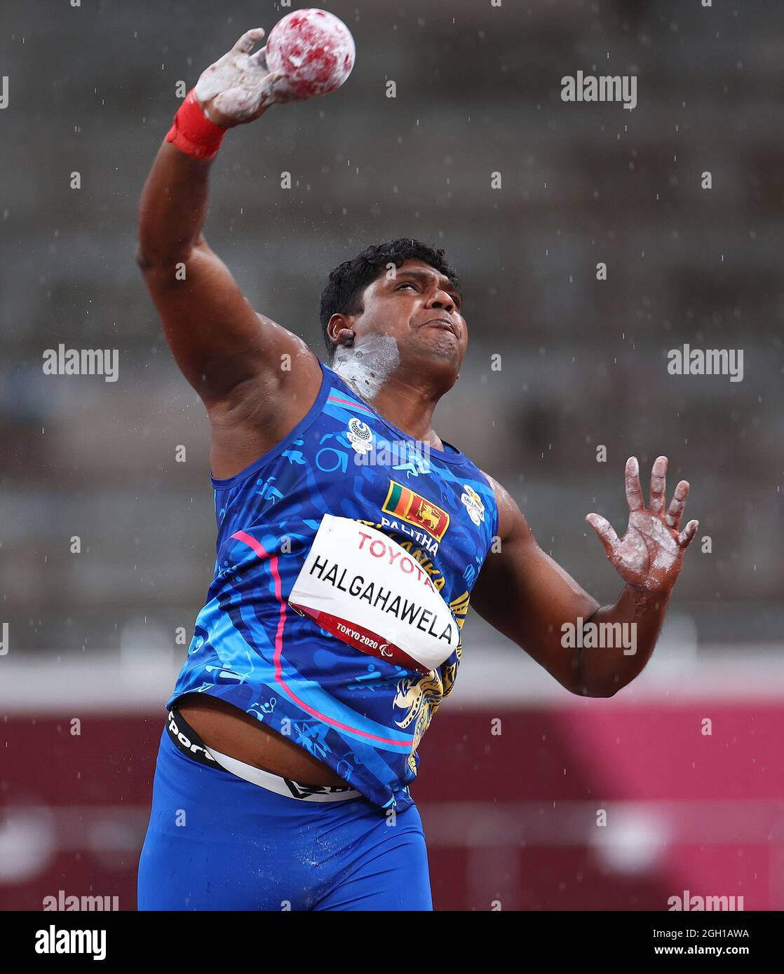 Palitha hi-res stock photography and images - Alamy