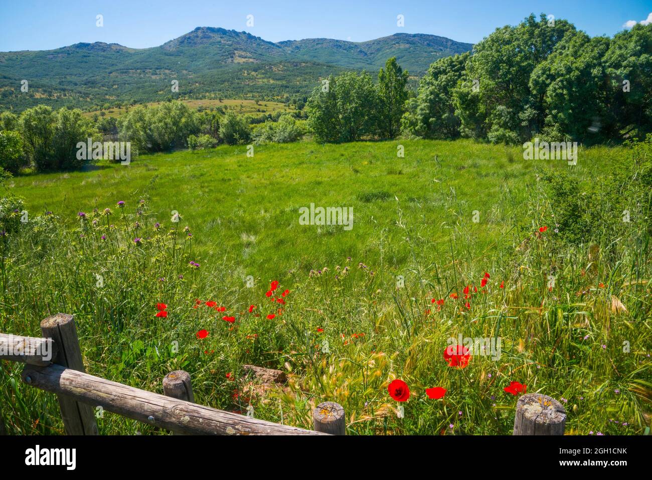 Pinilla del valle hi-res stock photography and images - Alamy