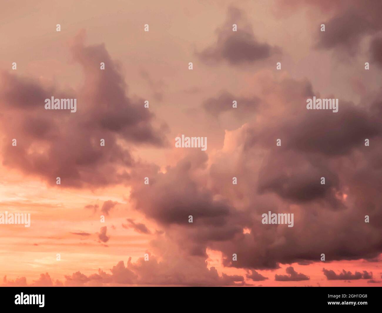 Summer sunshine white hi-res stock photography and images - Alamy