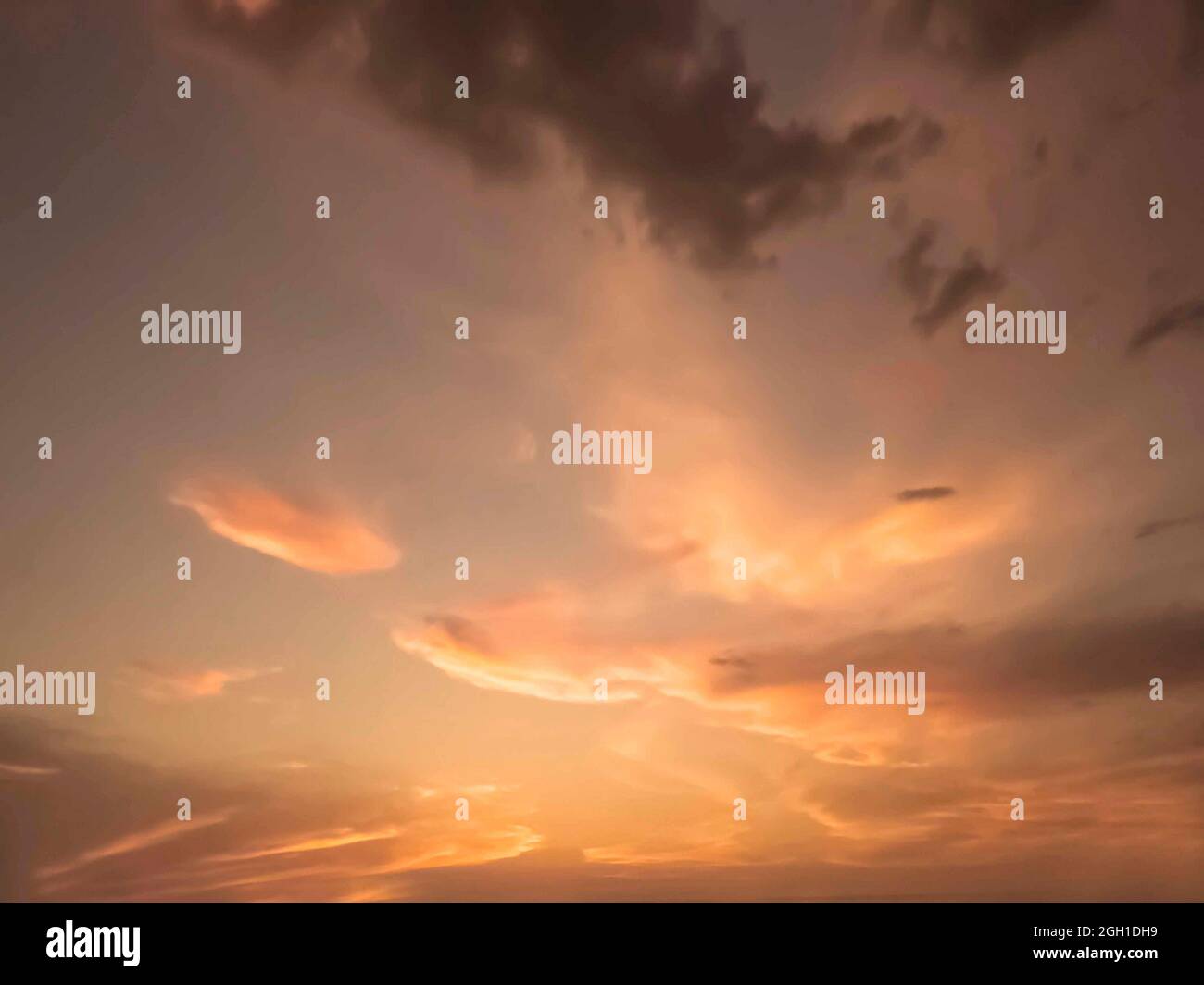 Summer sunshine white hi-res stock photography and images - Alamy