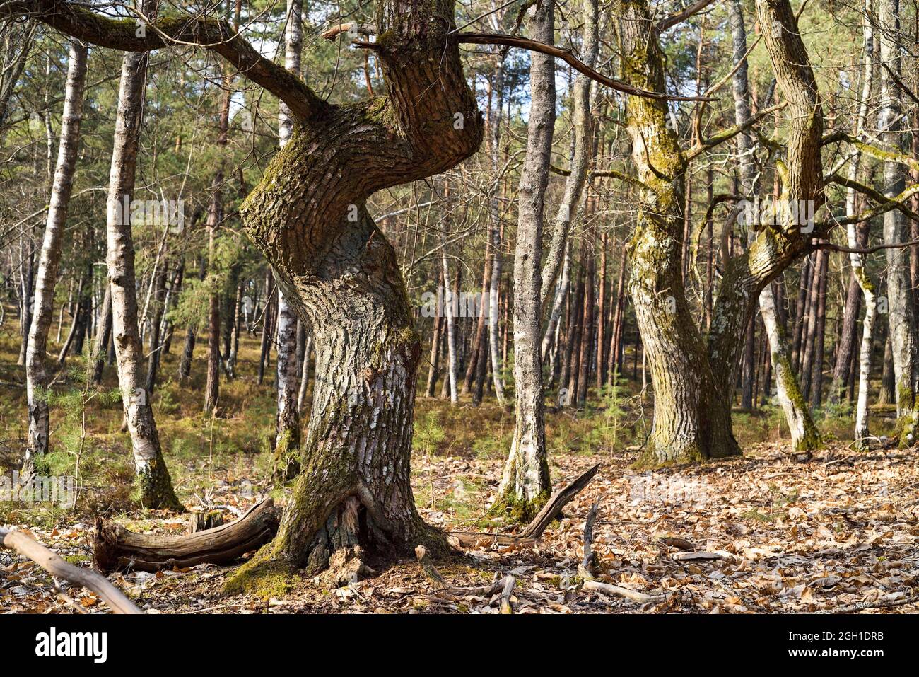 Chevreuse Valley High Resolution Stock Photography and Images - Alamy