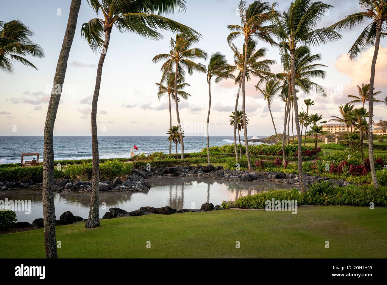 The early morning sun slowly rises on the palm trees and beach in Poipu ...