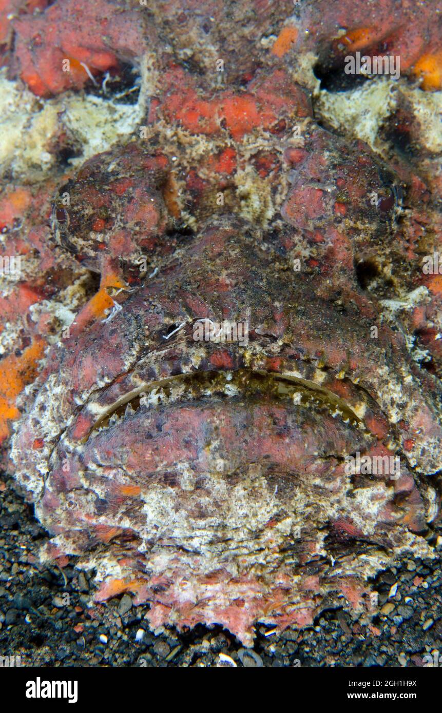 Pyramids From Above High Resolution Stock Photography and Images - Alamy