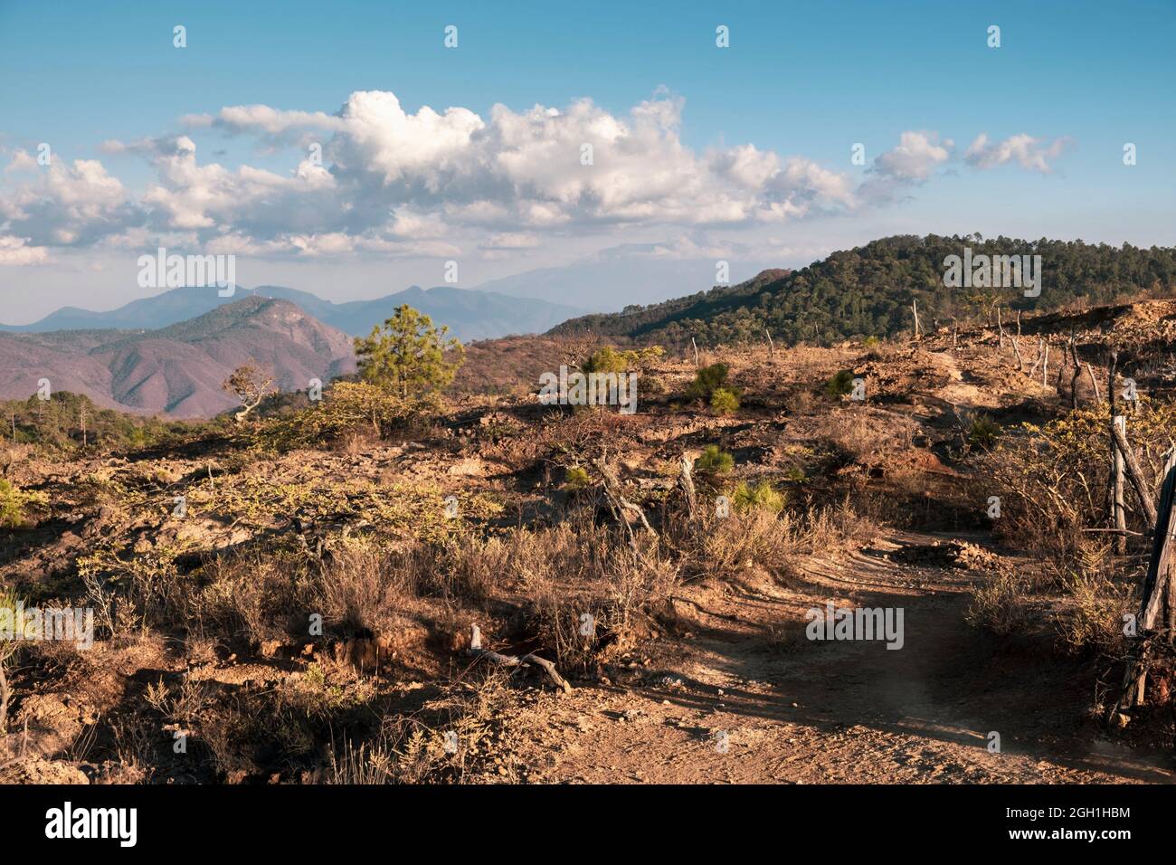 Mexico landscape terrain hi-res stock photography and images - Alamy