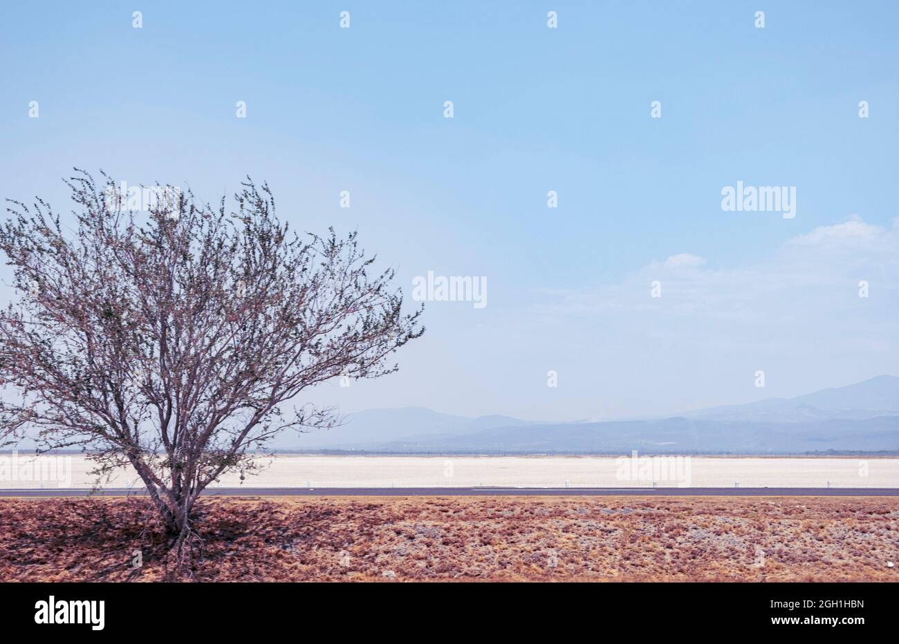Sayula lagoon dry. Sayula, Mexico Stock Photo - Alamy