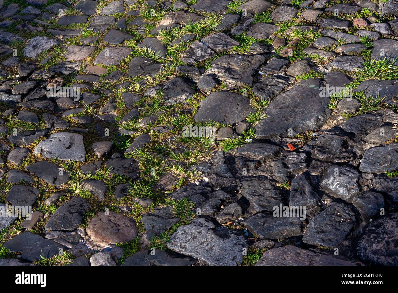 Pedestrian streets brazil hi-res stock photography and images - Alamy