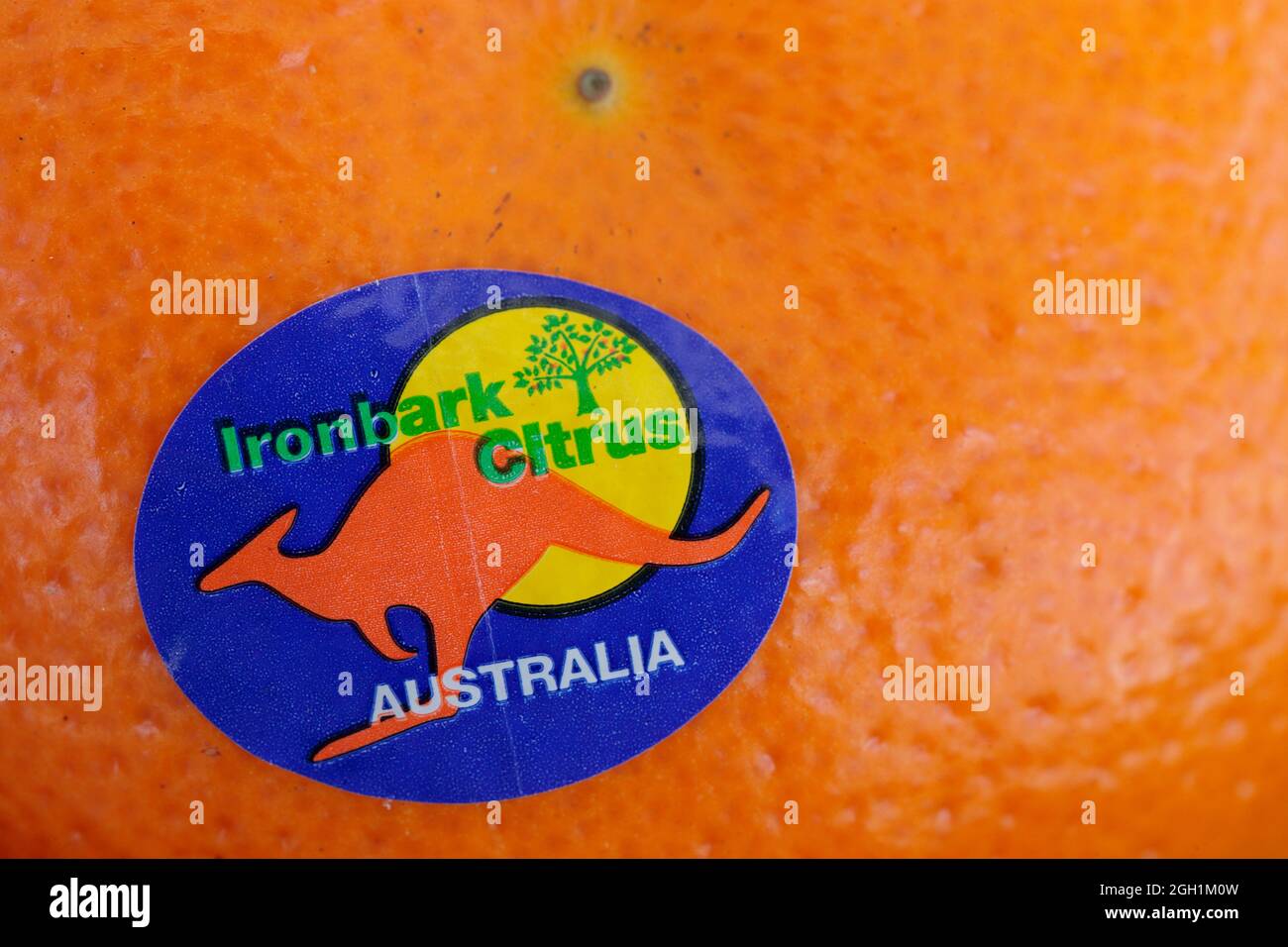 Close-up of Australian tangerine and label, purchased in Hong Kong 30th ...