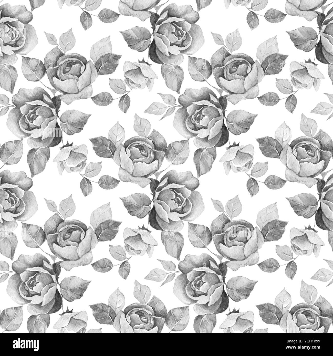 Monochrome floral pattern of rose flowers. Watercolor seamless ...