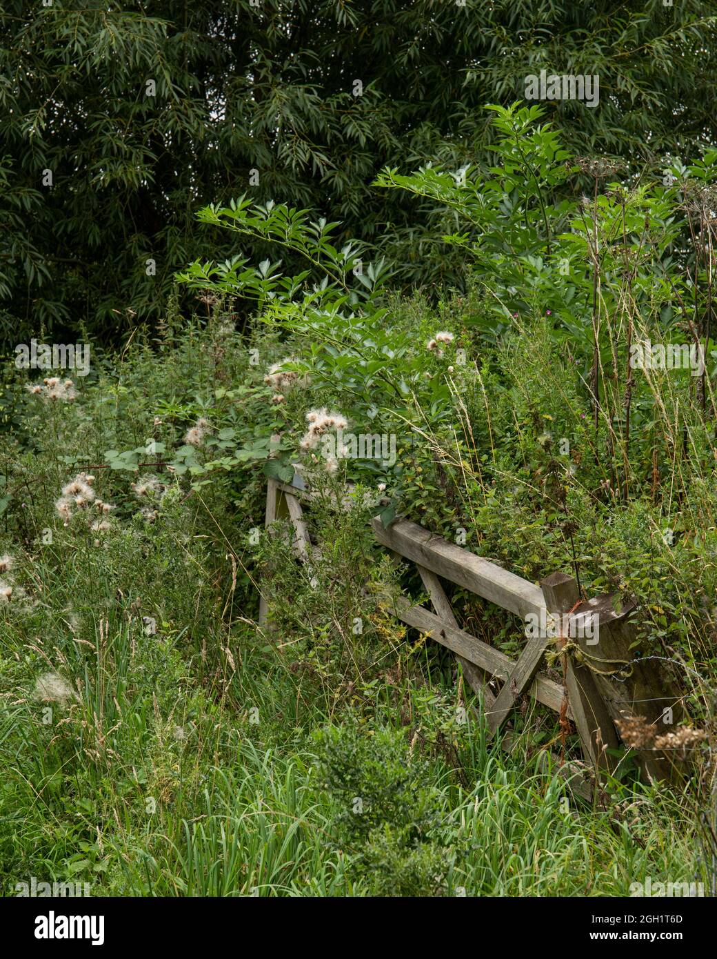 Disused wooden farm gate Stock Photo - Alamy