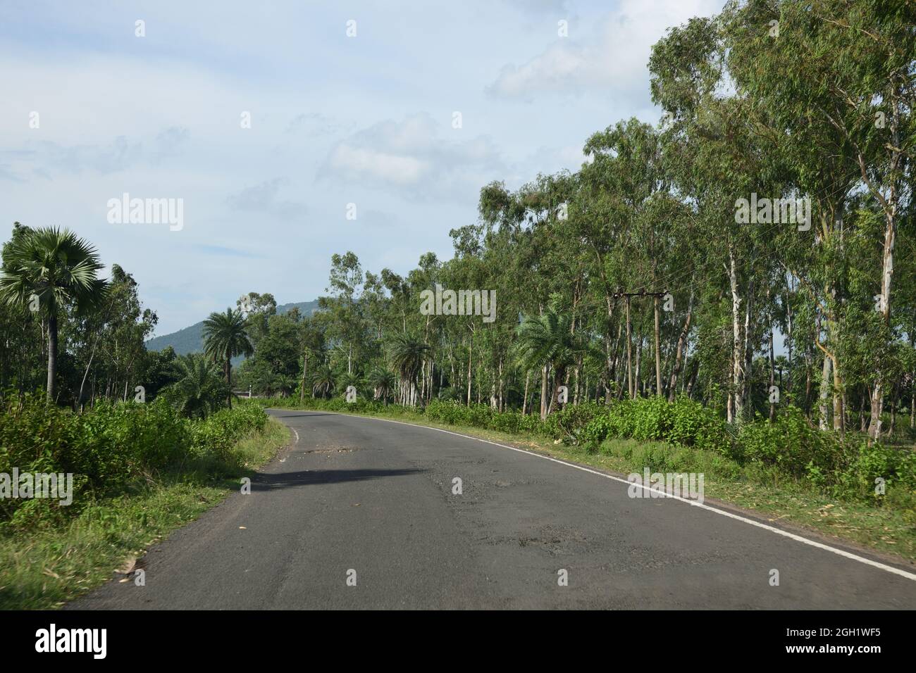 West bengal village road hi-res stock photography and images - Alamy