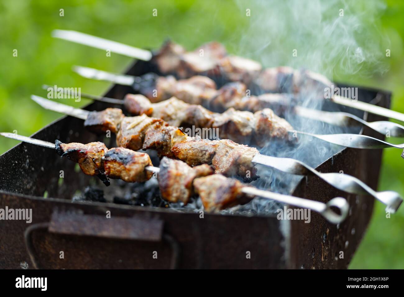 Barbecue meat on skewers. Cooking shashlik on the mangal in nature ...