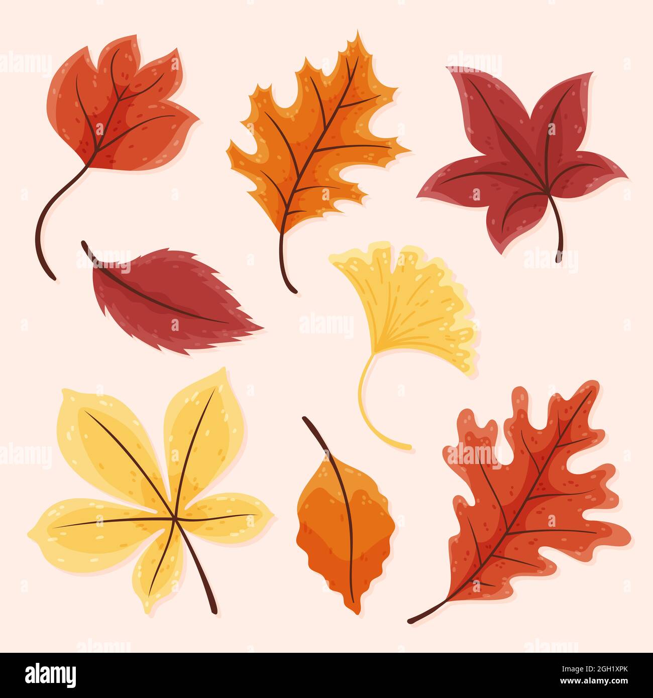 Hand drawn autumn leaves set Vector illustration Stock Vector Image ...