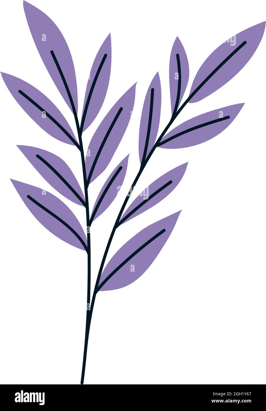 purple plant representation Stock Vector Image & Art - Alamy