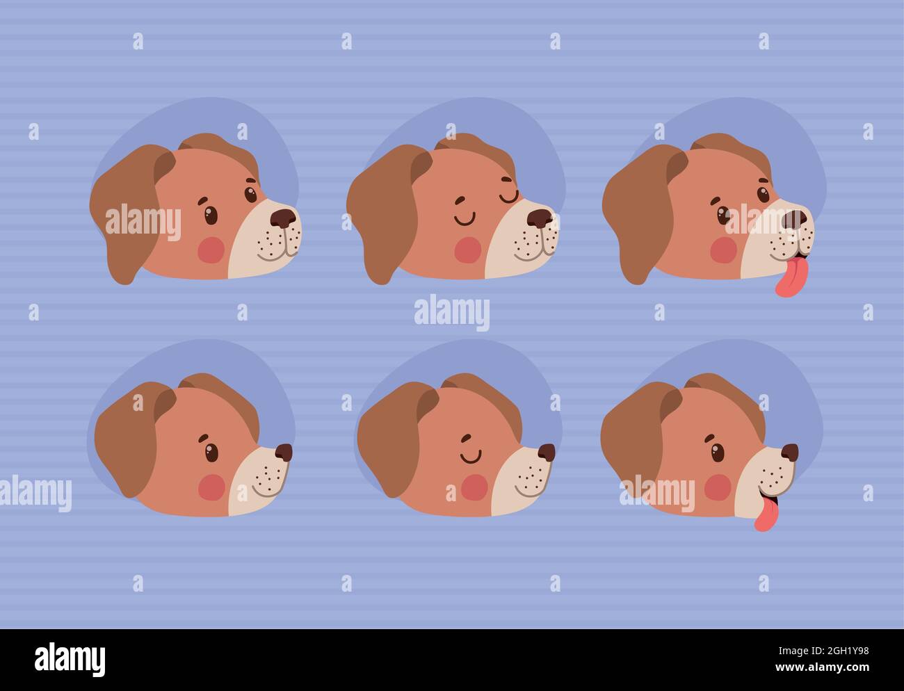 six dog faces Stock Vector Image & Art - Alamy