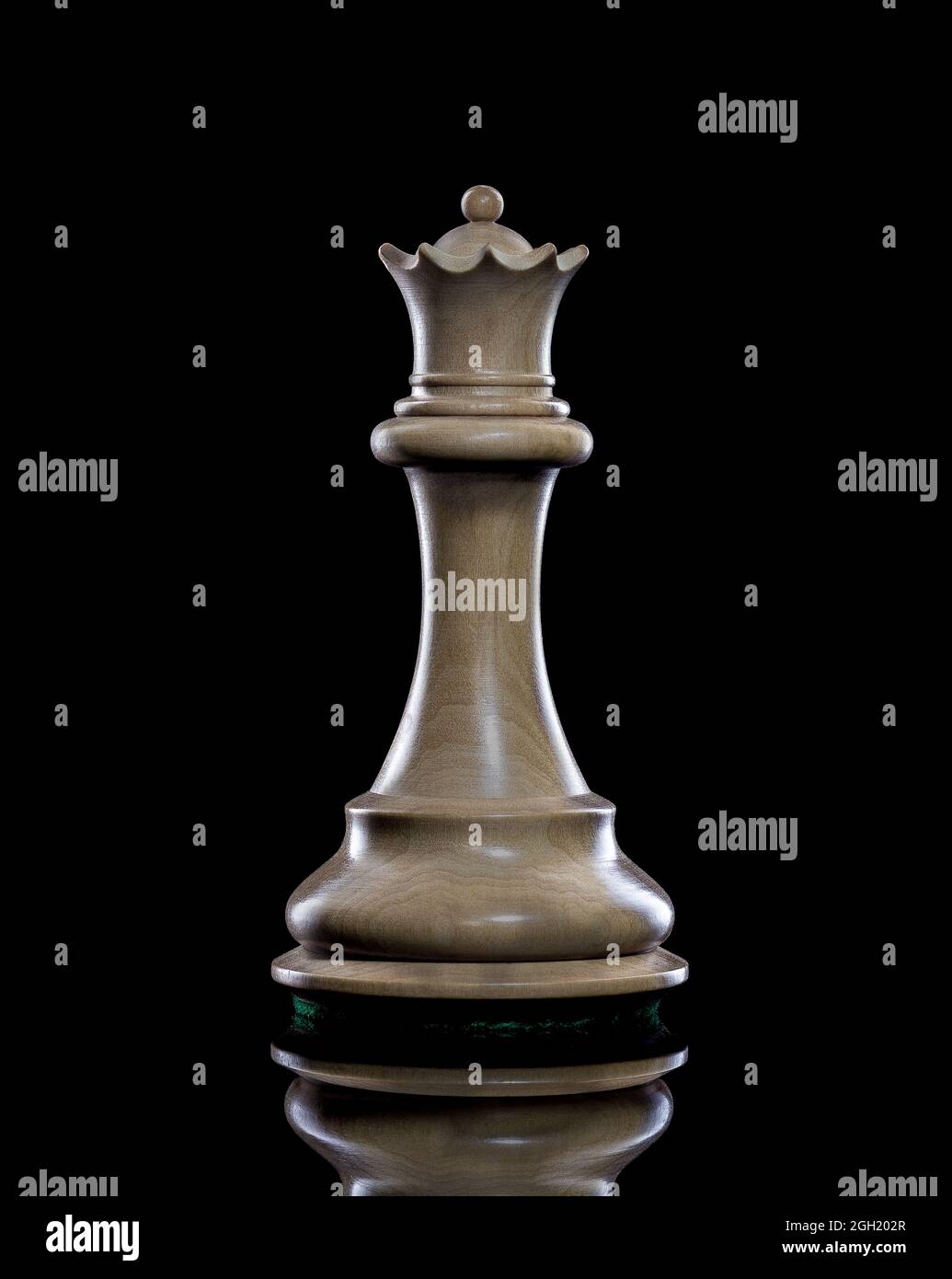 Black and White Queen of chess setup on dark background . Leader and ...