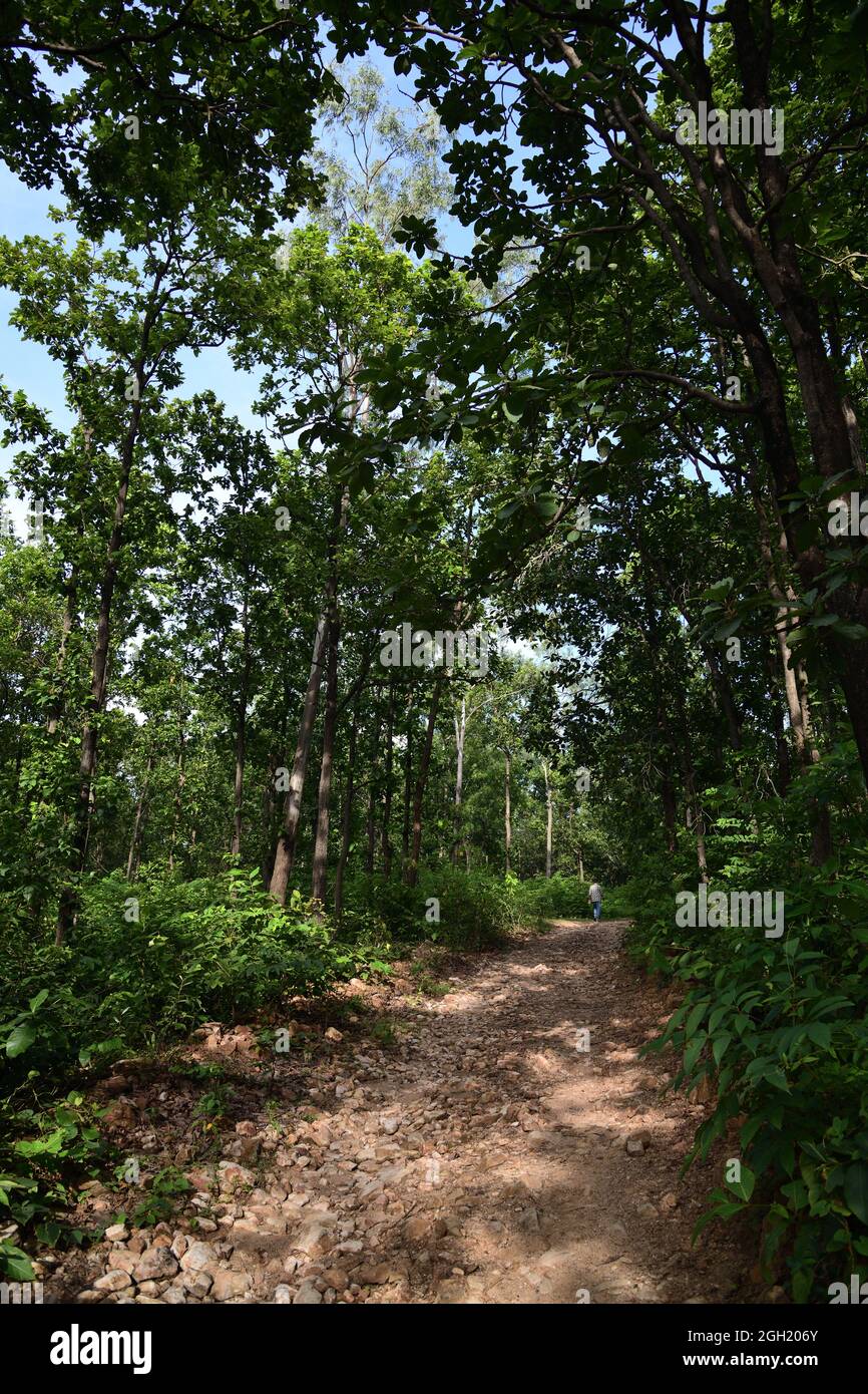 Susunia hill hi-res stock photography and images - Alamy
