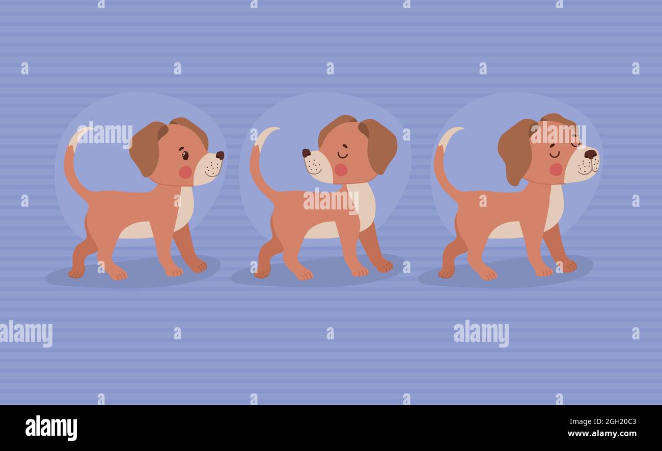 three pretty dogs Stock Vector Image & Art - Alamy