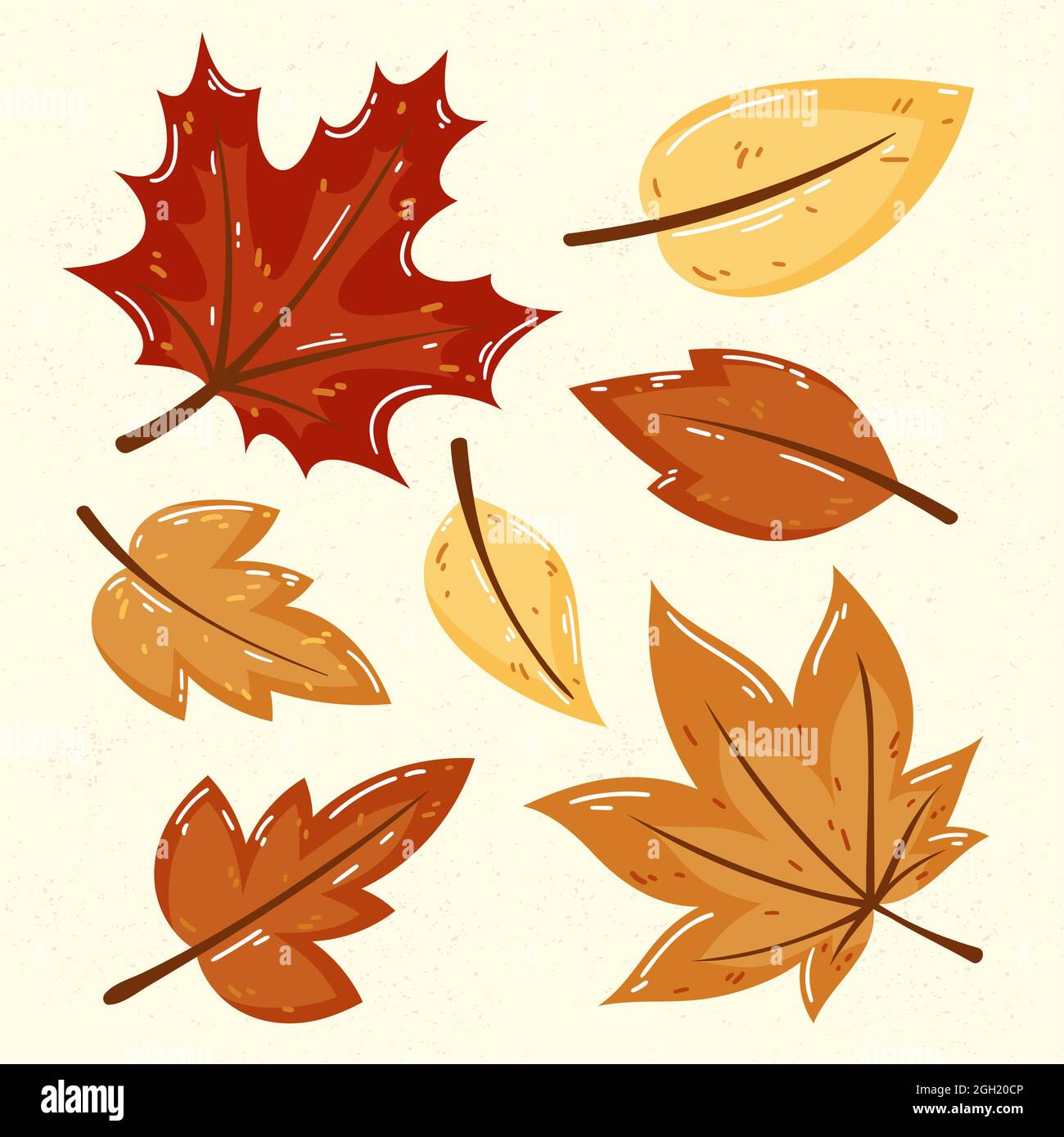 Hand drawn autumn leaves set Vector illustration Stock Vector Image ...