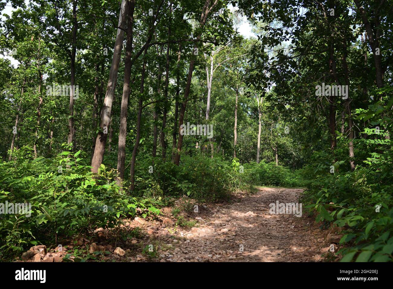 Susunia pahar hi-res stock photography and images - Alamy