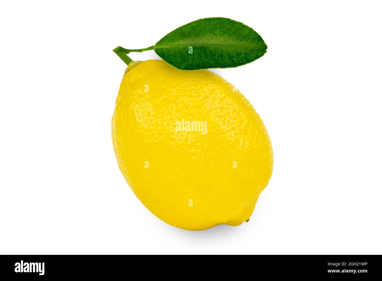 Fresh lemon with leaf, isolated on white background, with clipping path ...