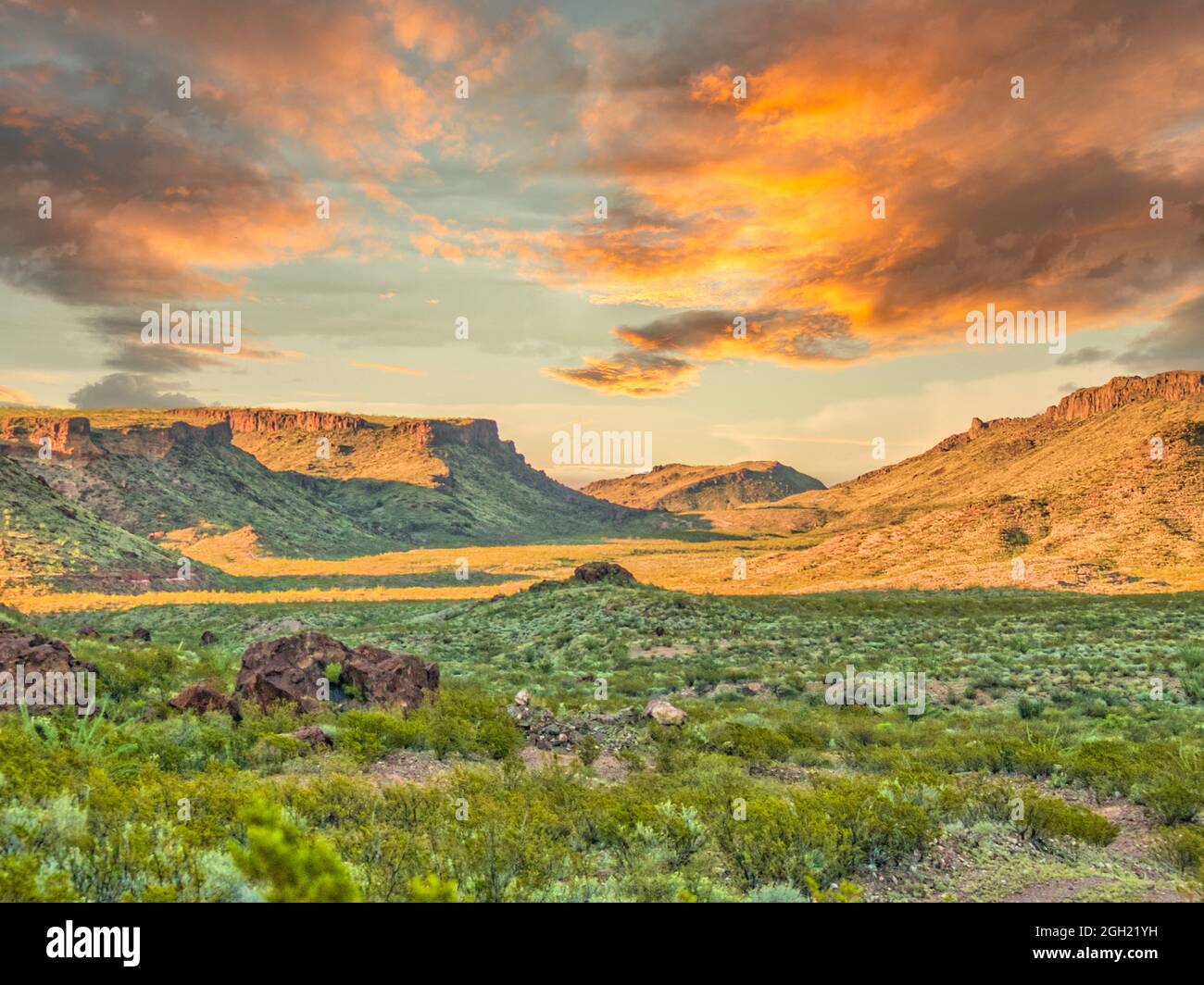Beautiful landscape of tundra areas at sunset Stock Photo - Alamy