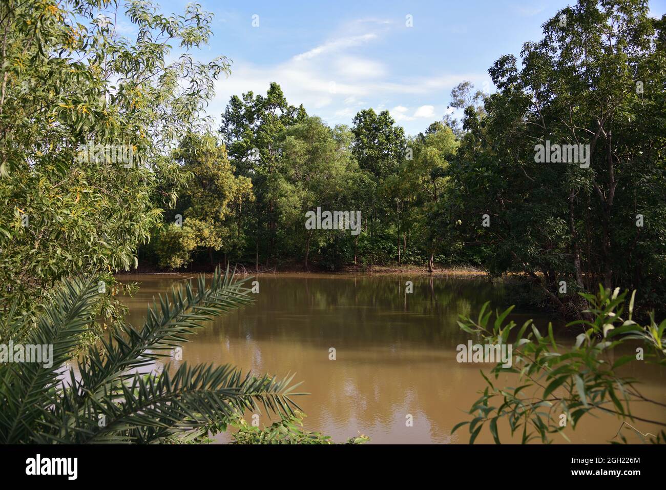 Shusunia hi-res stock photography and images - Alamy