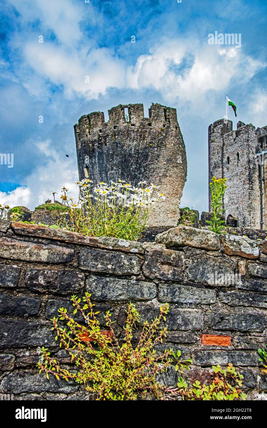 Concentric castle design hi-res stock photography and images - Alamy