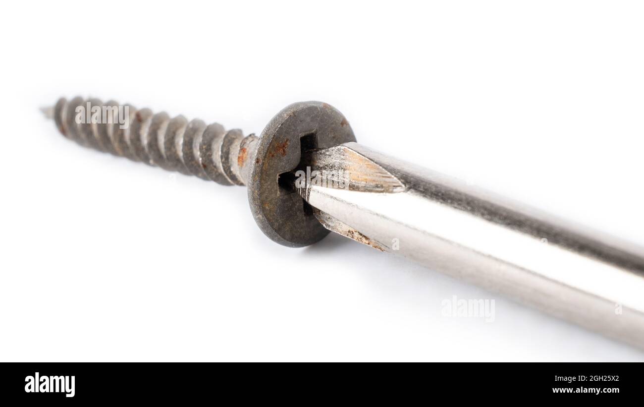 screwdriver and metal screw isolated on white background closeup macro ...
