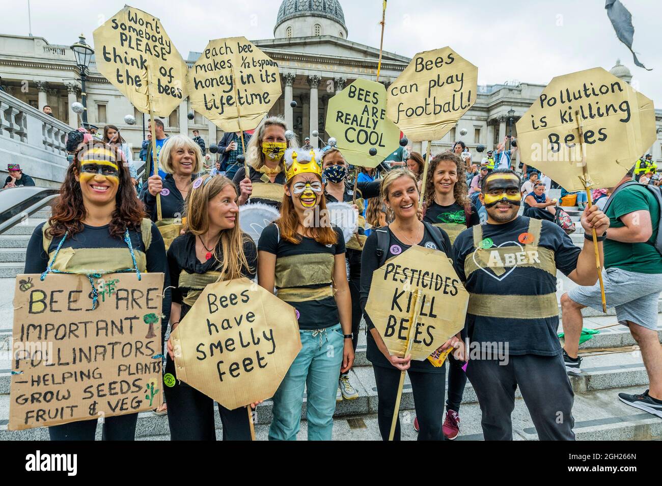 Bee extinction hi-res stock photography and images - Alamy