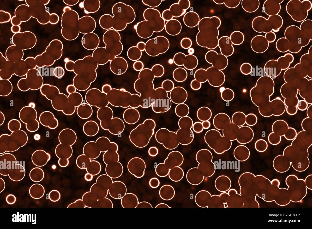 design modern red big amount of bio unicellulars digitally made texture ...