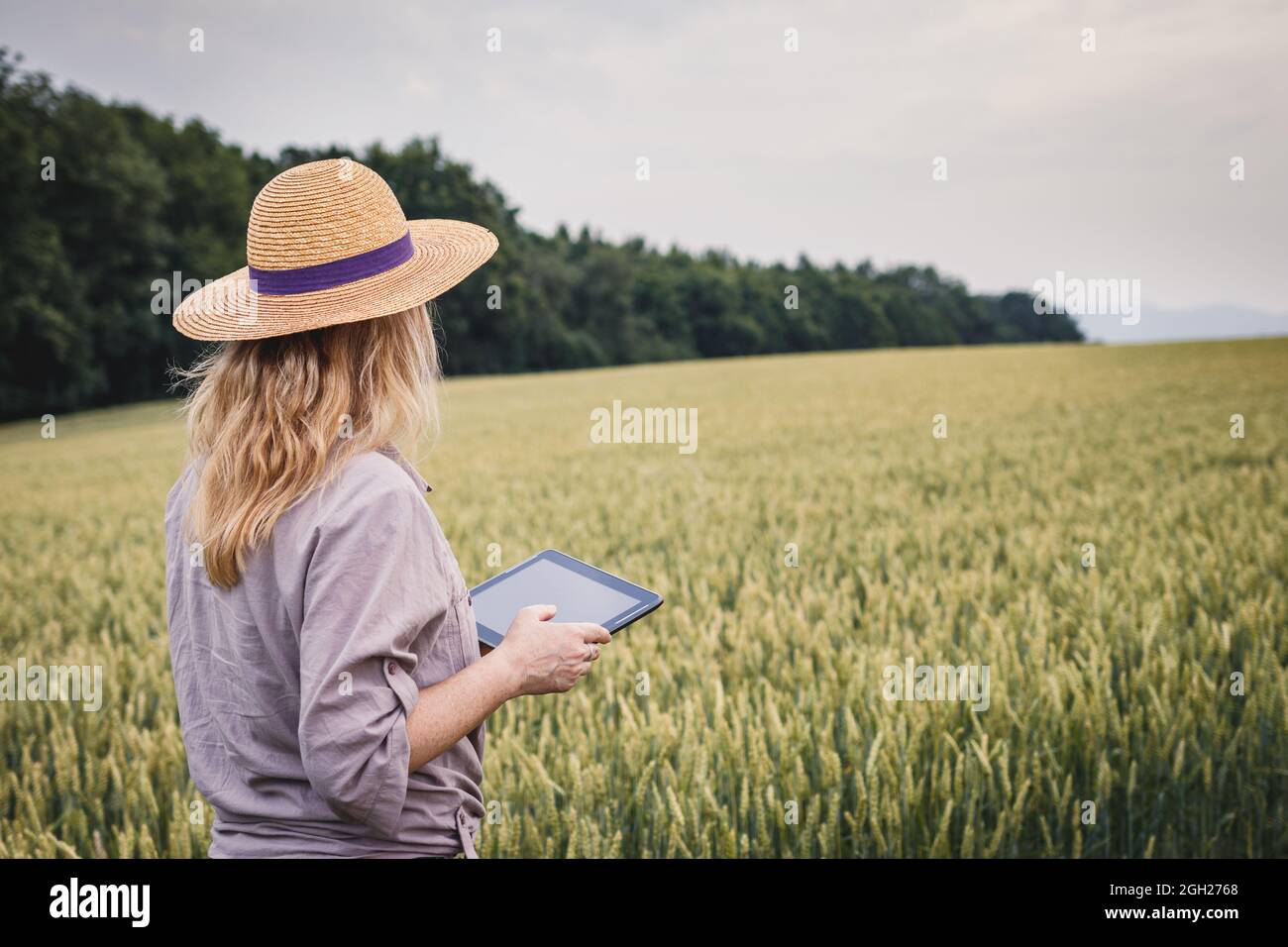 Farmer using modern technology for smart farming. Female agronomist with digital tablet ...