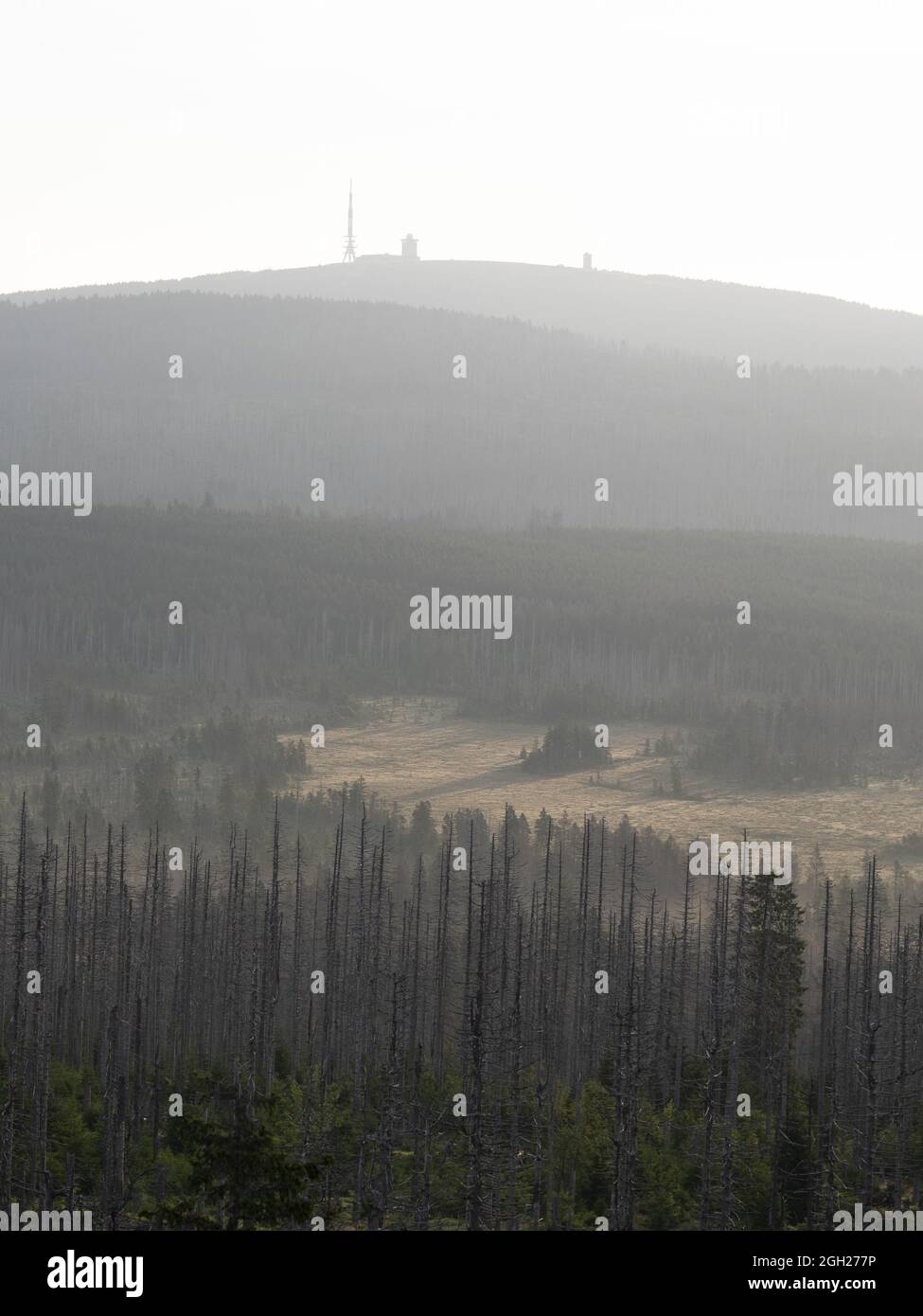 Foggy terrain texture hi-res stock photography and images - Alamy